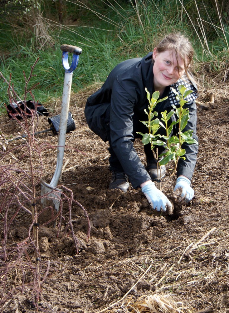 The Dunedin Amenities Society | Established in 1888, the Society is New ...