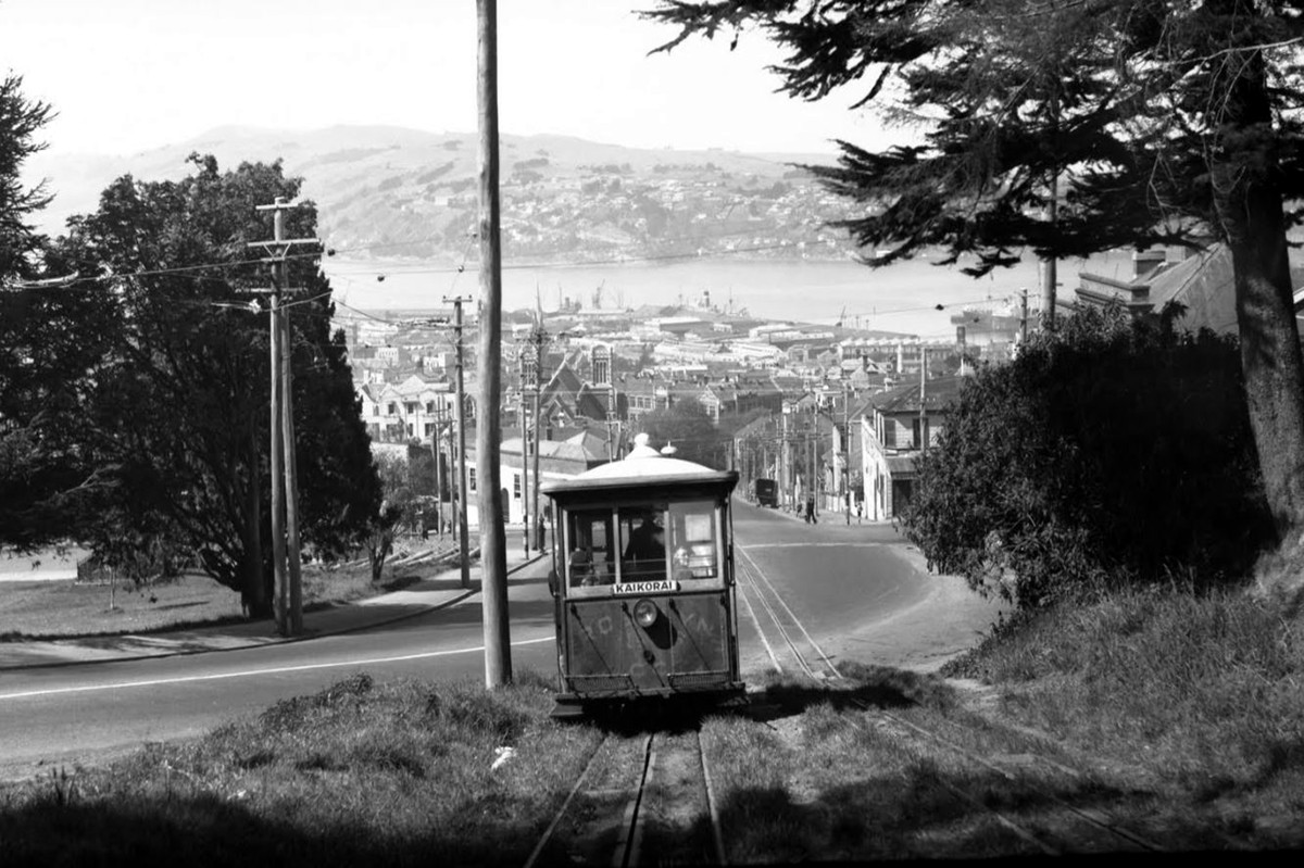 Dunedin Town Belt Walking Guide | The Dunedin Amenities Society